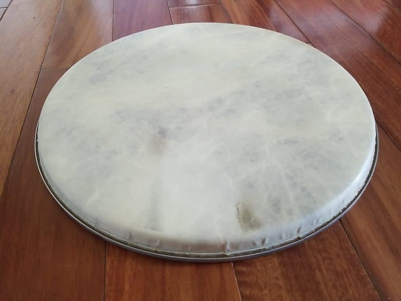 Banjo Head - 11 inch High Crown Synthetic Calfskin | Reverb UK