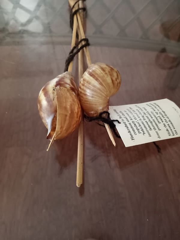 Frog Dance Instrument Hand Made 1982 Natural | Reverb