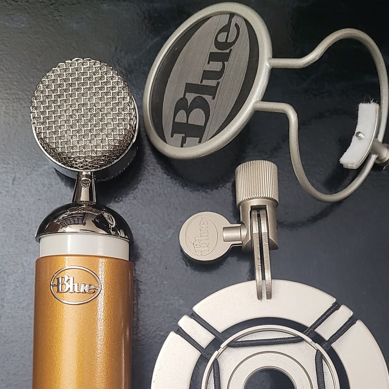 Blue Spark Large Diaphragm Condenser Microphone | Reverb