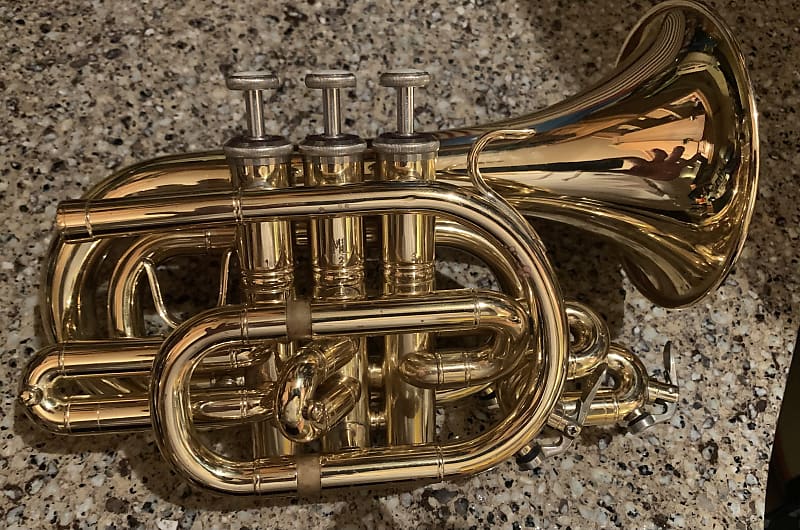 Max Pocket Trumpet 2000s Lacquer | Reverb