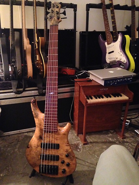 Roscoe SKB 3006 2006 Buck-Eye Burl w/ Swamp Ash Body | Reverb