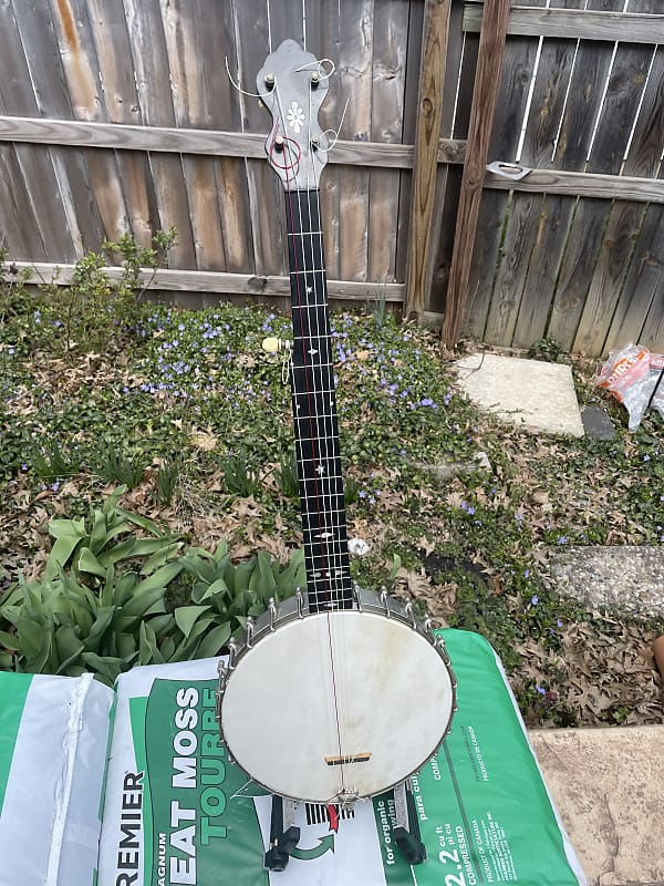 Haynes Bay State Model 317 Old Time Banjo | Reverb