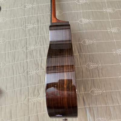 aNueNue UT 200 Moon Spruce 2022 - Gloss | Reverb