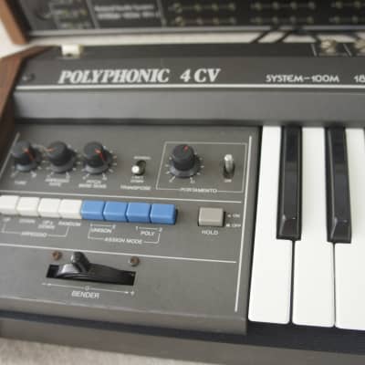 Roland System 100M 4 polyphonic set | Reverb