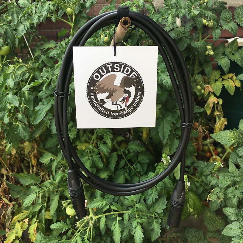 Canare 10 Foot Microphone Cable | Reverb