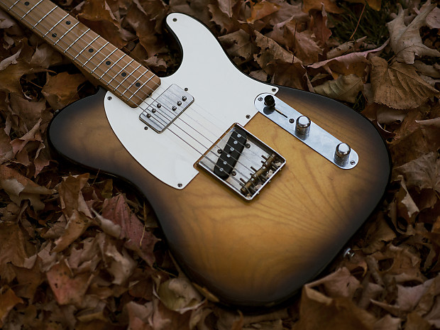 Linhof Special Telecaster #24 (2006) | Reverb
