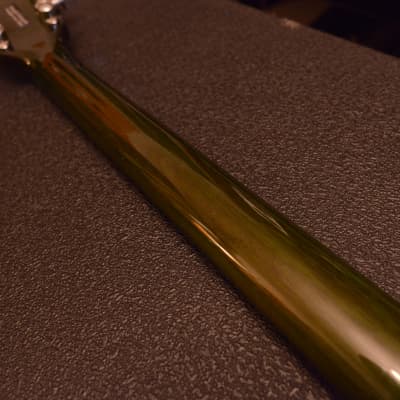 Washburn Dimebag Darrell Dime 333 DimeSlime AAA Slime Flame | Reverb