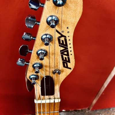 Peavey Predator (USA) - Gloss Black | Reverb