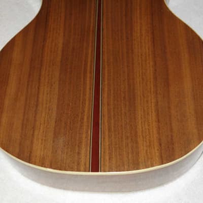 1999 Michael Turko "Tennessee Tornado " Parlor Guitar | Reverb