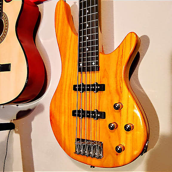 🎸FAST, FREE SHIPPING!🎸 5 STRING Electric Bass Guitar Rosewood | Reverb