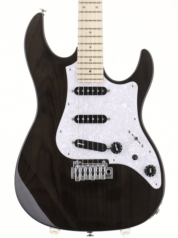 FUJIGEN(FGN) EOS-AH Trans Black [SN L180761] (08/22) | Reverb
