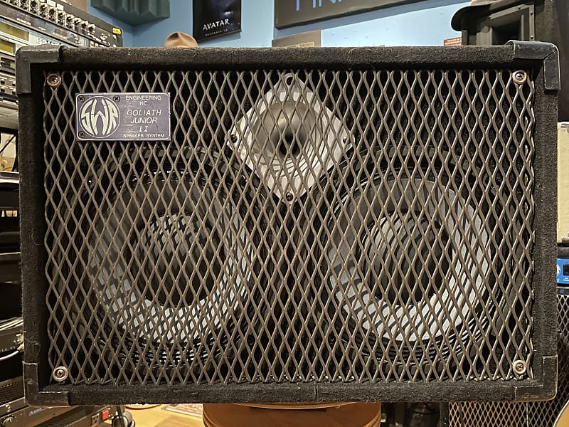 SWR Goliath II Jr 2x10” bass cabinet | Reverb