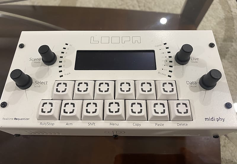 Midiphy LoopA | Reverb