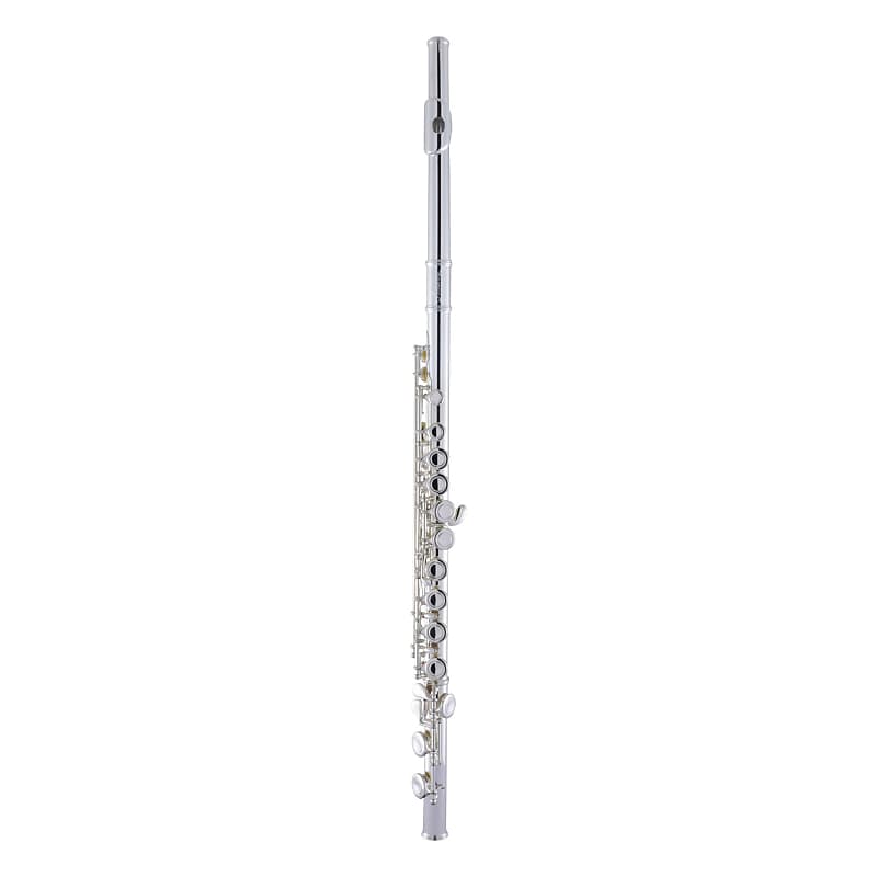 Armstrong AFL201 Closed-Hole Student Flute | Reverb