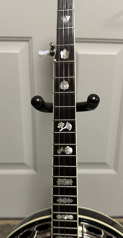 Alvarez whyte eagle banjo 2010's | Reverb