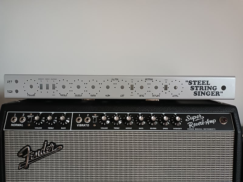 Dumble Steel String Singer #002 Chassis | Reverb