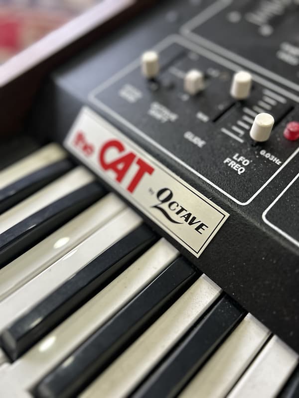 The Cat 1978 by Octave - Walnut | Reverb UK