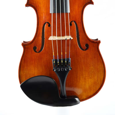Modern 5 Strings violin/viola | Reverb