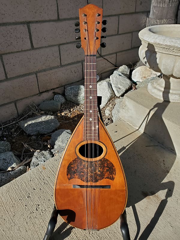 Vintage Midland by Wurlitzer Bowl Back Mandolin 1880-1910 | Reverb