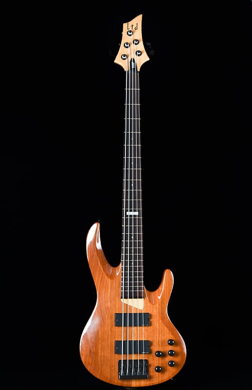 ESP LTD B-205 5-String 1999 - Natural Gloss | Reverb