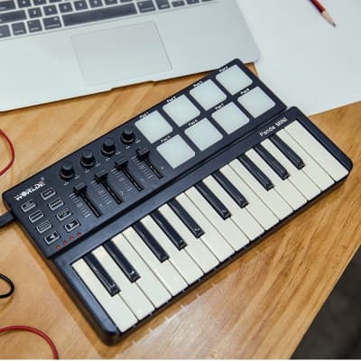 Worlde Panda 25-Key USB Keyboard and Drum Pad MIDI Controller | Reverb