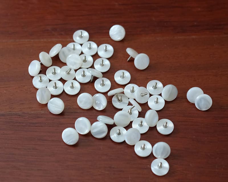 100 treble buttons for button accordion/ bayan WHITE PEARL | Reverb