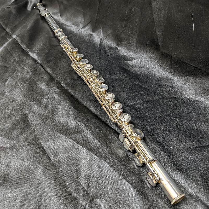 Eastar Open Hole Silver-Plated Flute with Case | Reverb