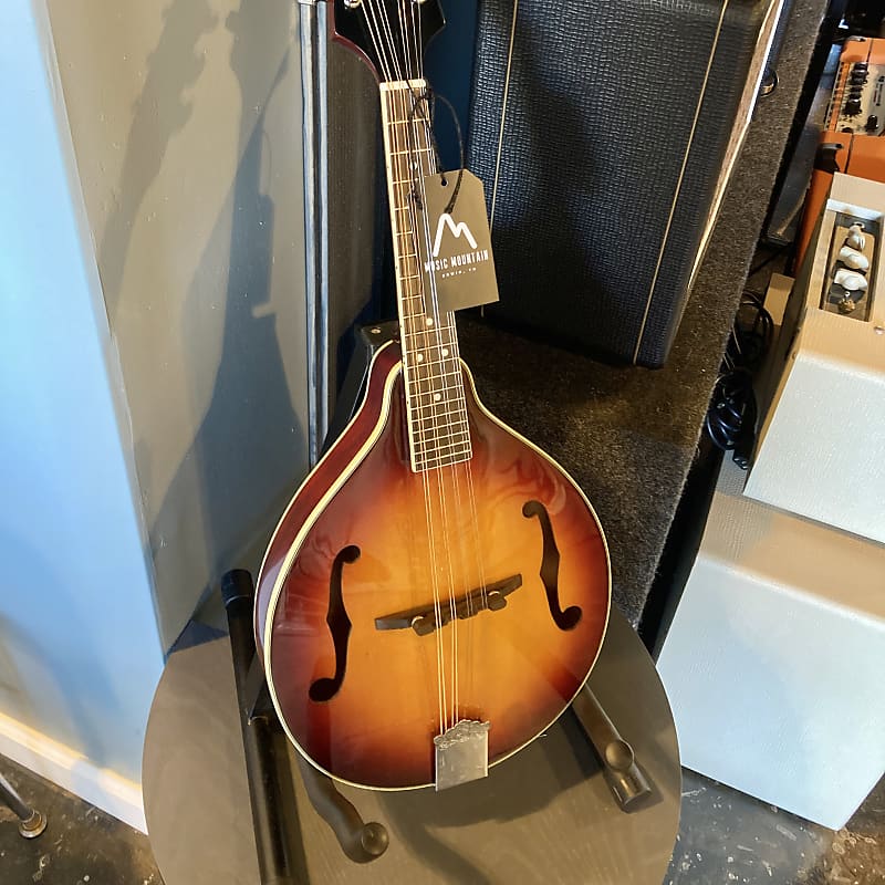 1990s Alvarez A100 Mandolin - MIK - Comes with Case! | Reverb