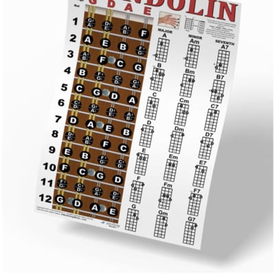 Mandolin Easy Chord Chart & Fretboard Notes Poster 11x17 | Reverb