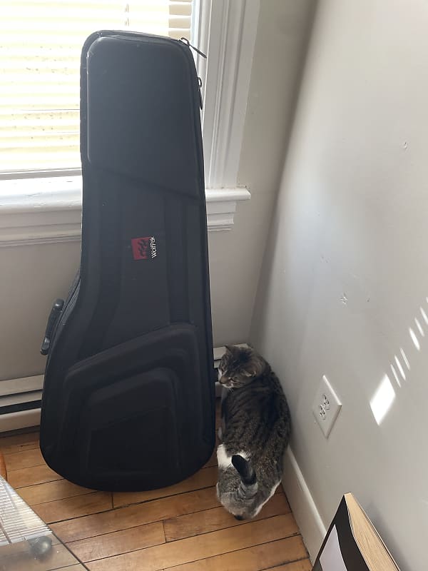 Wolfpak acoustic guitar travel case | Reverb