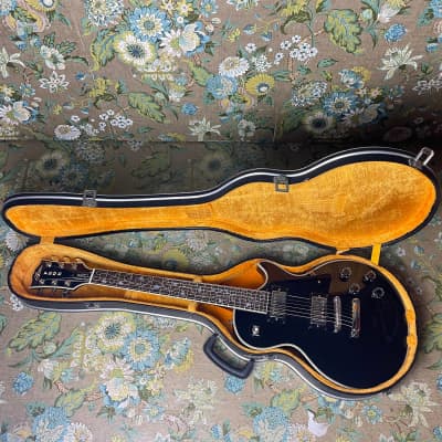 Aria Pro II LP Custom "Vine Of Life" | Reverb