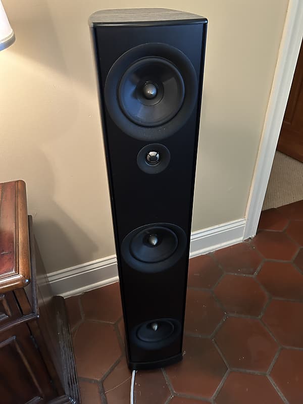 PSB Synchrony Two 2010 - Black Ash | Reverb