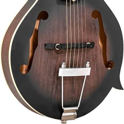 Framus Mandolin 6/3 Rosita 1964 Natural | Reverb