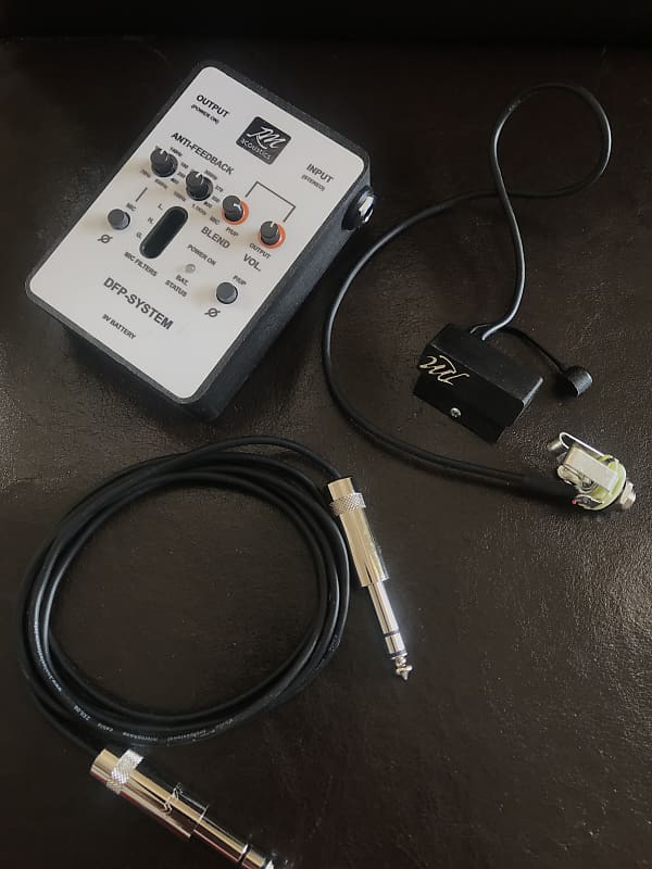 RM ACOUSTICS DFP-SYSTEM, Blender 2021 | Reverb