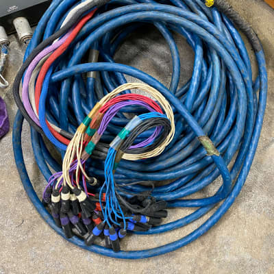 Whirlwind Medusa Split Snake 125' x 40' (approximately) | Reverb