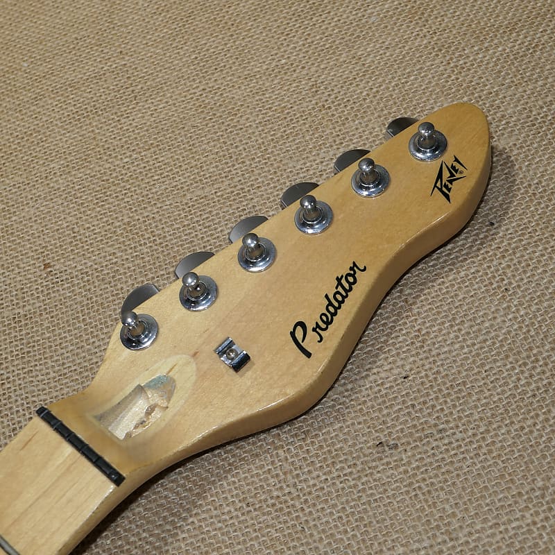 Neck + Tuners Maple, Peavey Predator - Same Day Shipping | Reverb