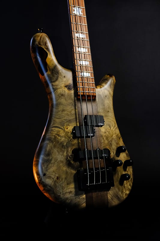 Spector (USA) NS-2 Neck Thru 2024 - Buckeye Burl | Reverb