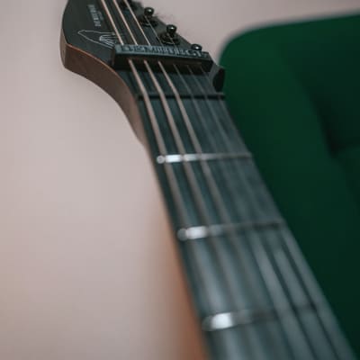 Demiurge Guitars Sanctuary 2024 - Dragon breath EX DEMO | Reverb