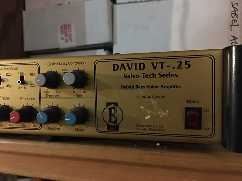 Eden David VT-.25 Valve-Tech Series Bass Amp W/Demeter | Reverb UK