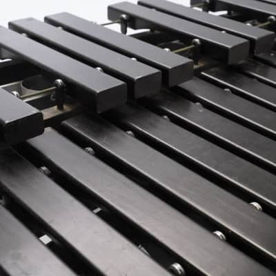 Musser M67 Kelon 3.5 Octave Student Practice Xylophone #52634 | Reverb