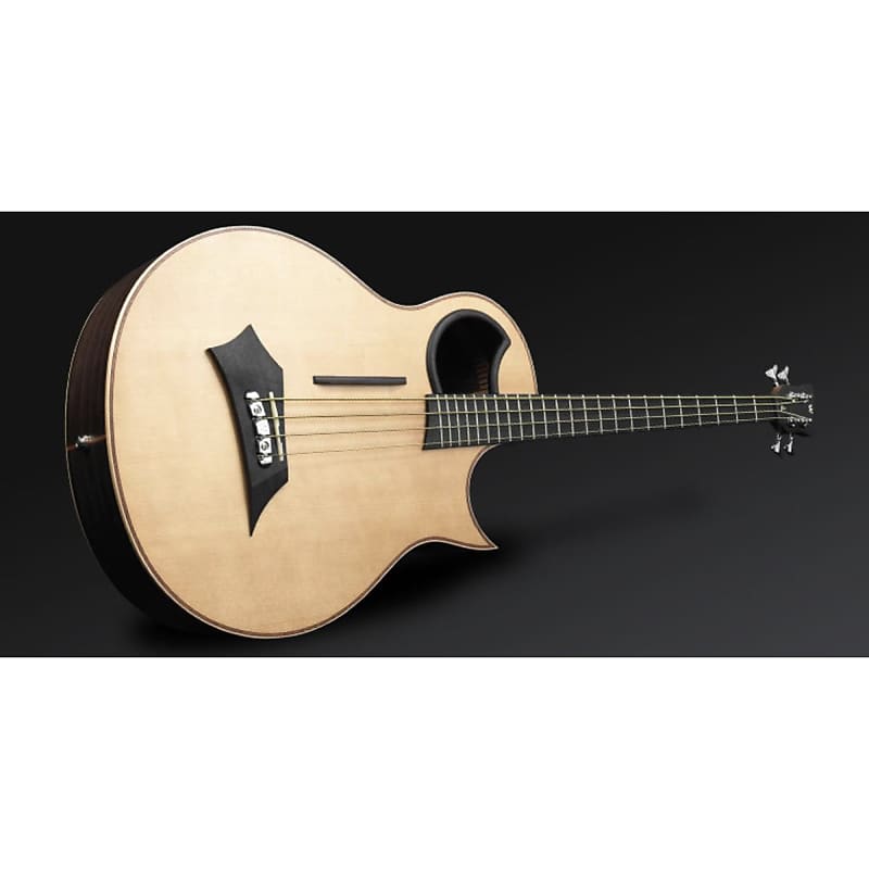 Warwick Alien 4-String Acoustic Bass, Natural Transparent | Reverb