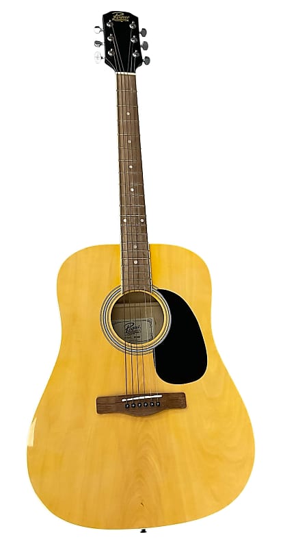 Rogue Guitar - Acoustic RD80 | Reverb