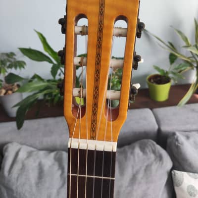 Musima Resonata 1980s + Hardcase | Reverb