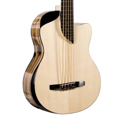 Turkowiak 5-String Acoustic Bass Guitar | Reverb Deutschland