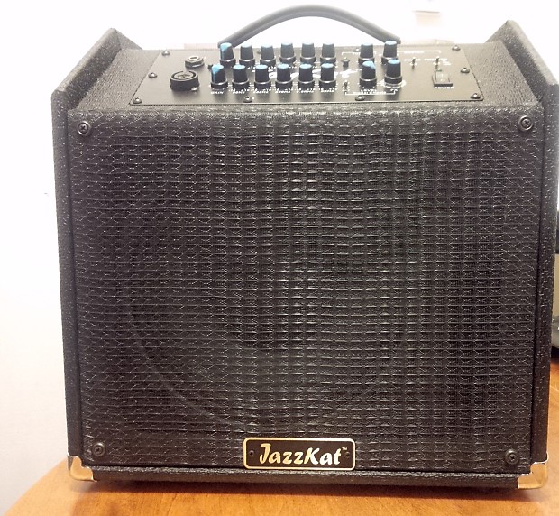 Tomkat Jazzkat 10" guitar amplifier, near new condition. | Reverb