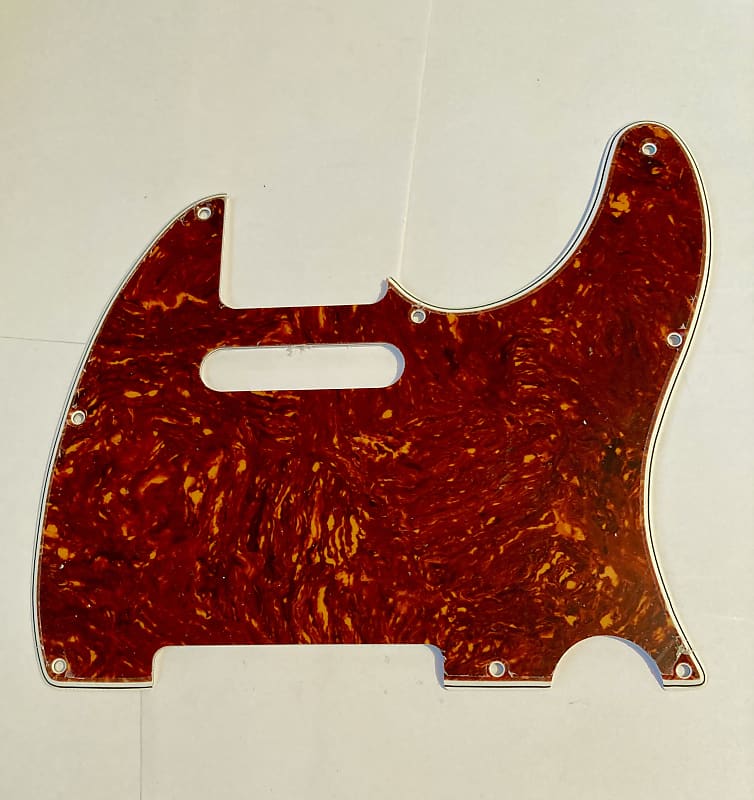 Wide Bevel Celluloid Tortoiseshell Tortoise 8 Hole | Reverb Canada