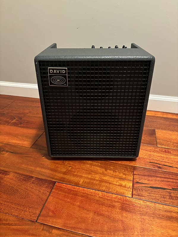 Schertler David Acoustic 2 channel PA Combo Amplifier with | Reverb