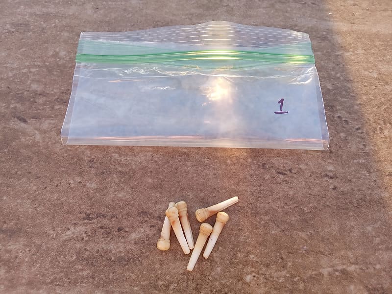 Set of Six 1960's Fender Acoustic Guitar Bridge Pins! Rare, | Reverb