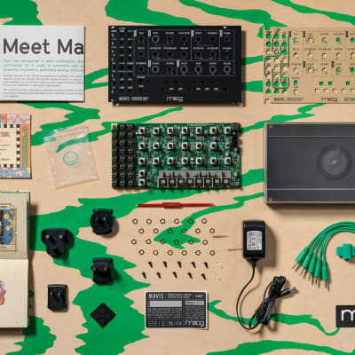 Moog Mavis Monophonic Analog Synthesizer Voice | Reverb