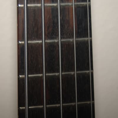 1993 Scott Ambush 5-String Bass | Reverb